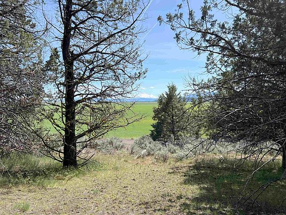 Near Log House Rd, Macdoel, CA 96058 | MLS #20240692 | Zillow