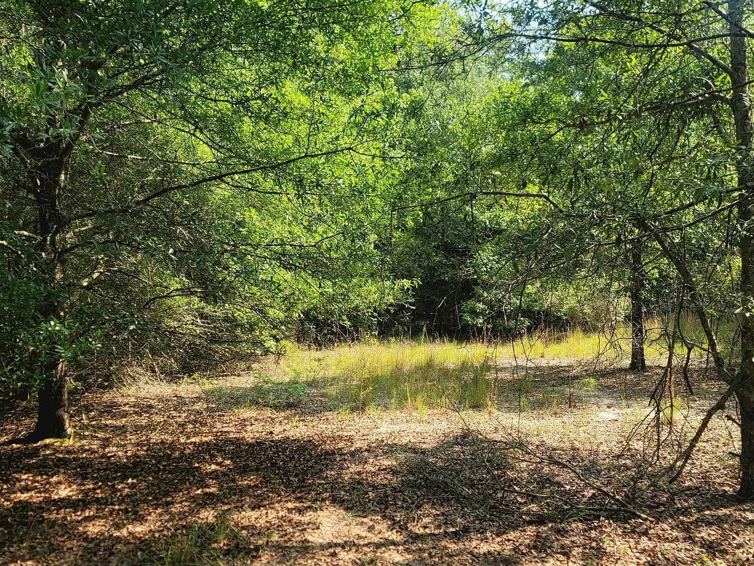 0 County Road 401 #1, Elba, AL 36323 | Zillow