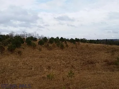 58 On Main St Winburne PA | Zillow