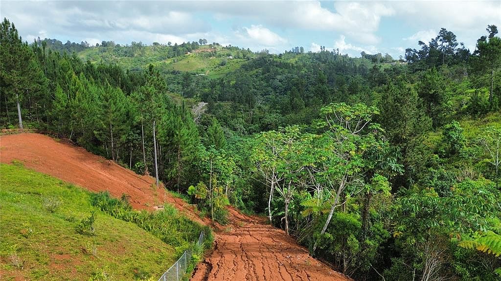 Bo Mana Carr 802 Km #2.5, Corozal, PR 00783 | MLS #PR9118366 | Zillow