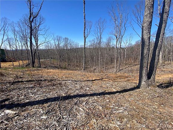 LOT 68 The Vineyard At Yukon, Talking Rock, GA 30175 | MLS #7190750 ...