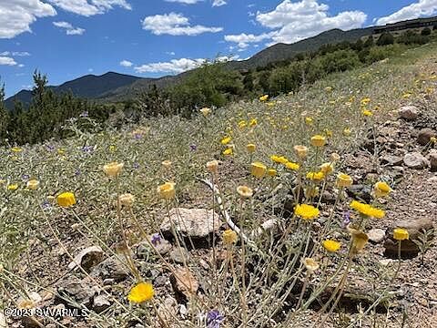 000TBA W Quail Springs Ranch Rd, Cottonwood, AZ 86326 | MLS #533400 ...