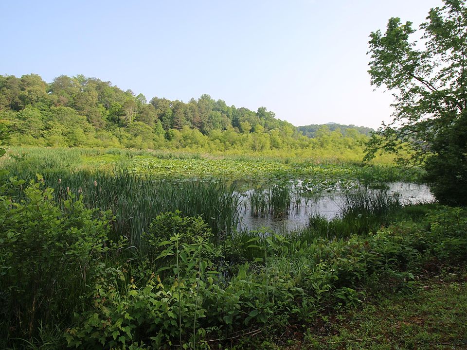 1626 Lake Emory Rd, Franklin, NC 28734 | Zillow