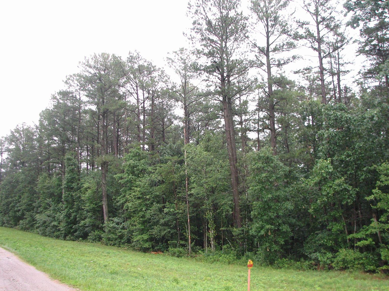 0 Eagle Lake Rd, Coalmont, TN 37313 | Zillow