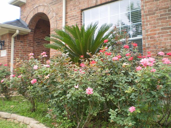 12323 Ramla Place Trl, Houston, TX 77089 | Zillow