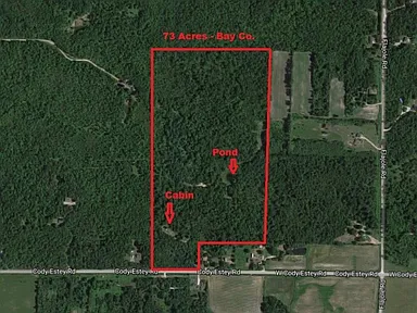 0 W Cody Estey Rd Rhodes MI | Zillow