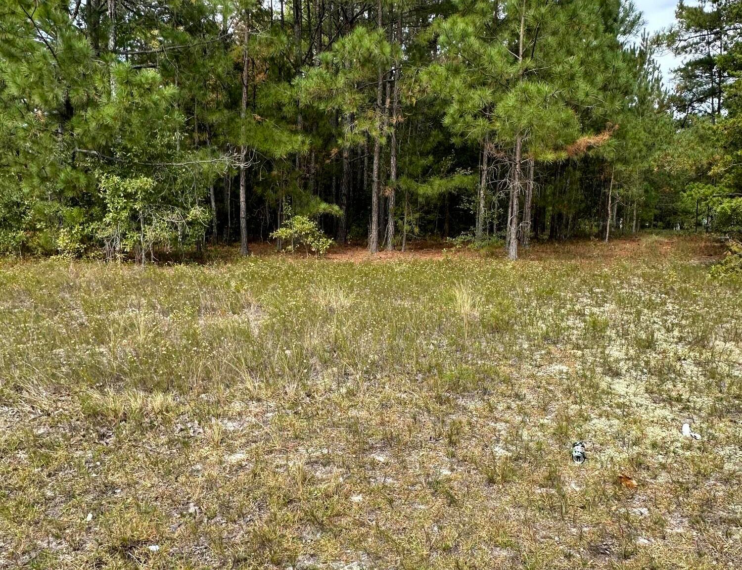 165 Blues Bridge Road, Hoffman, NC 28347 | Zillow