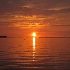 Brian FIscher - Property Management in Port Charlotte, FL | Zillow