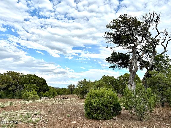 35554 State Highway 61 Hwy, Show Low, AZ 85901 | Zillow