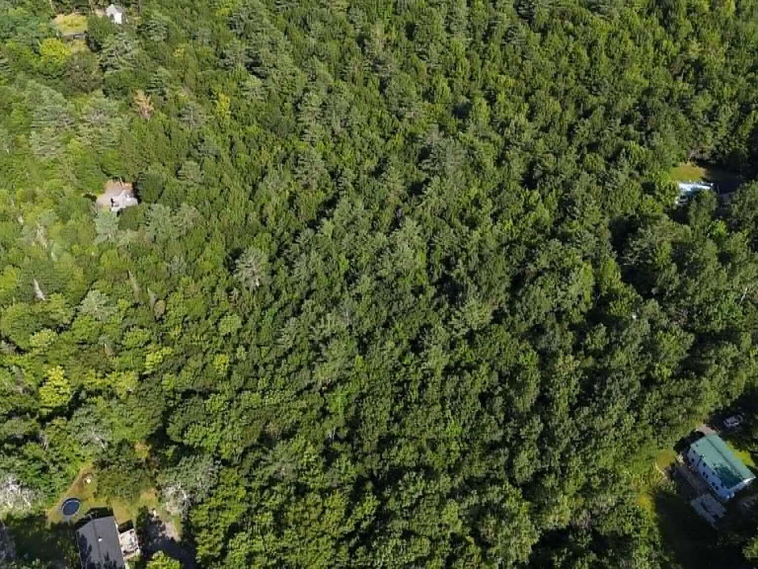 TBD Dead River Road, Litchfield, ME 04350 | Zillow