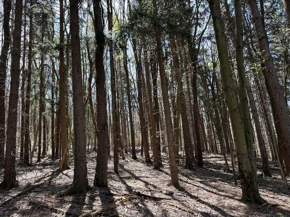 Colver PA Real Estate - Colver PA Homes For Sale | Zillow