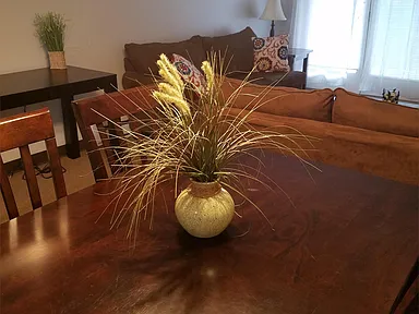 1225 Faichney Dr Watertown NY | Zillow
