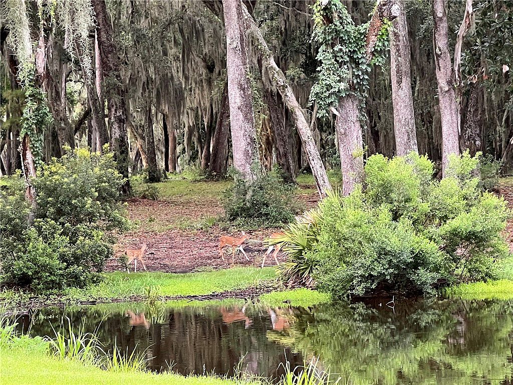 0 Sutherland Bluff Dr, Townsend, GA 31331 | Zillow