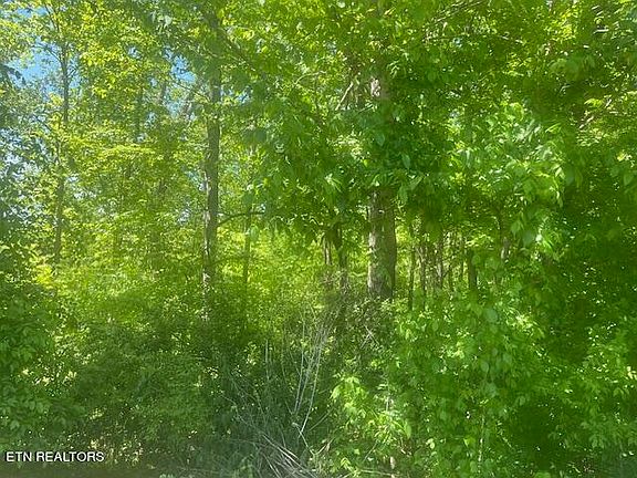 Chestnut Ridge Dr, Lenoir City, TN 37771 | MLS #1258899 | Zillow