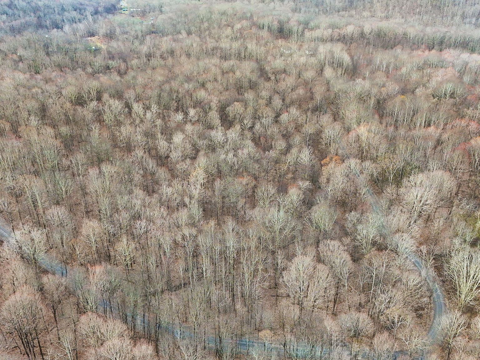 Molly Rd, Crawley, WV 24931 | MLS #25-362 | Zillow