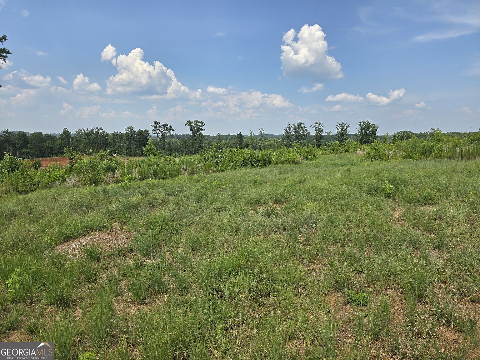 0 Faulkner Rd LOT 8, Monticello, GA 31064 | MLS #10469544 | Zillow