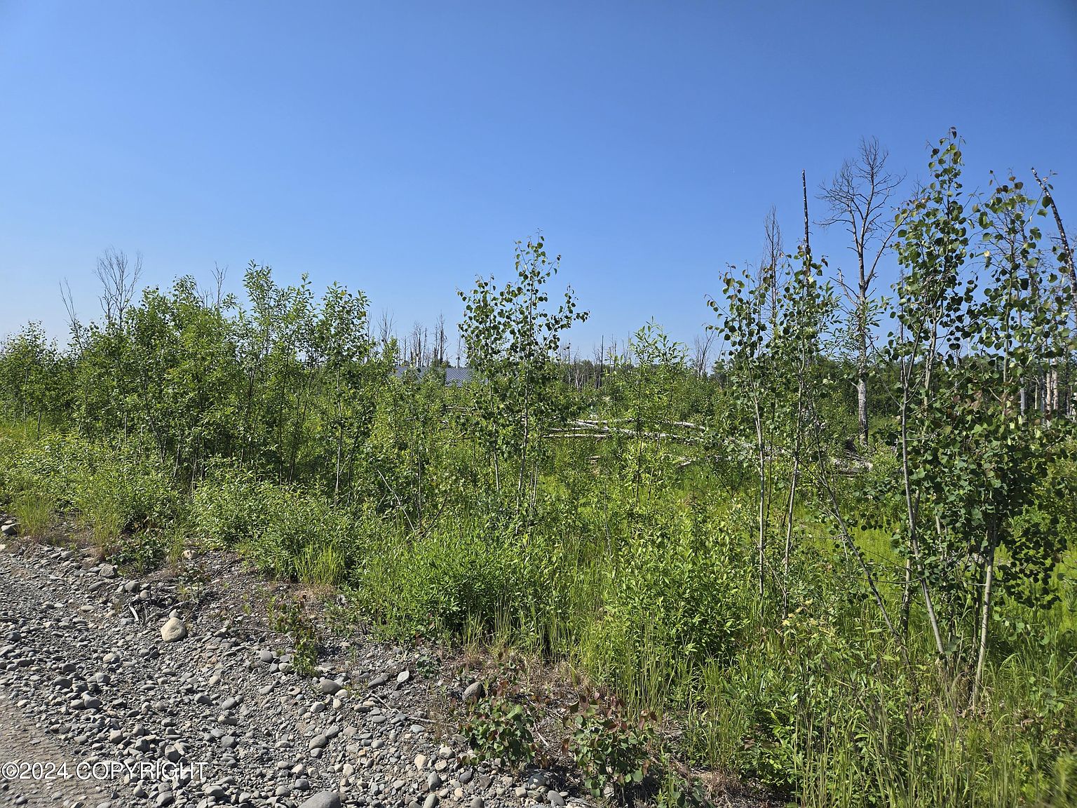 47774 S Yancey Dr, Talkeetna, AK 99676 | Zillow