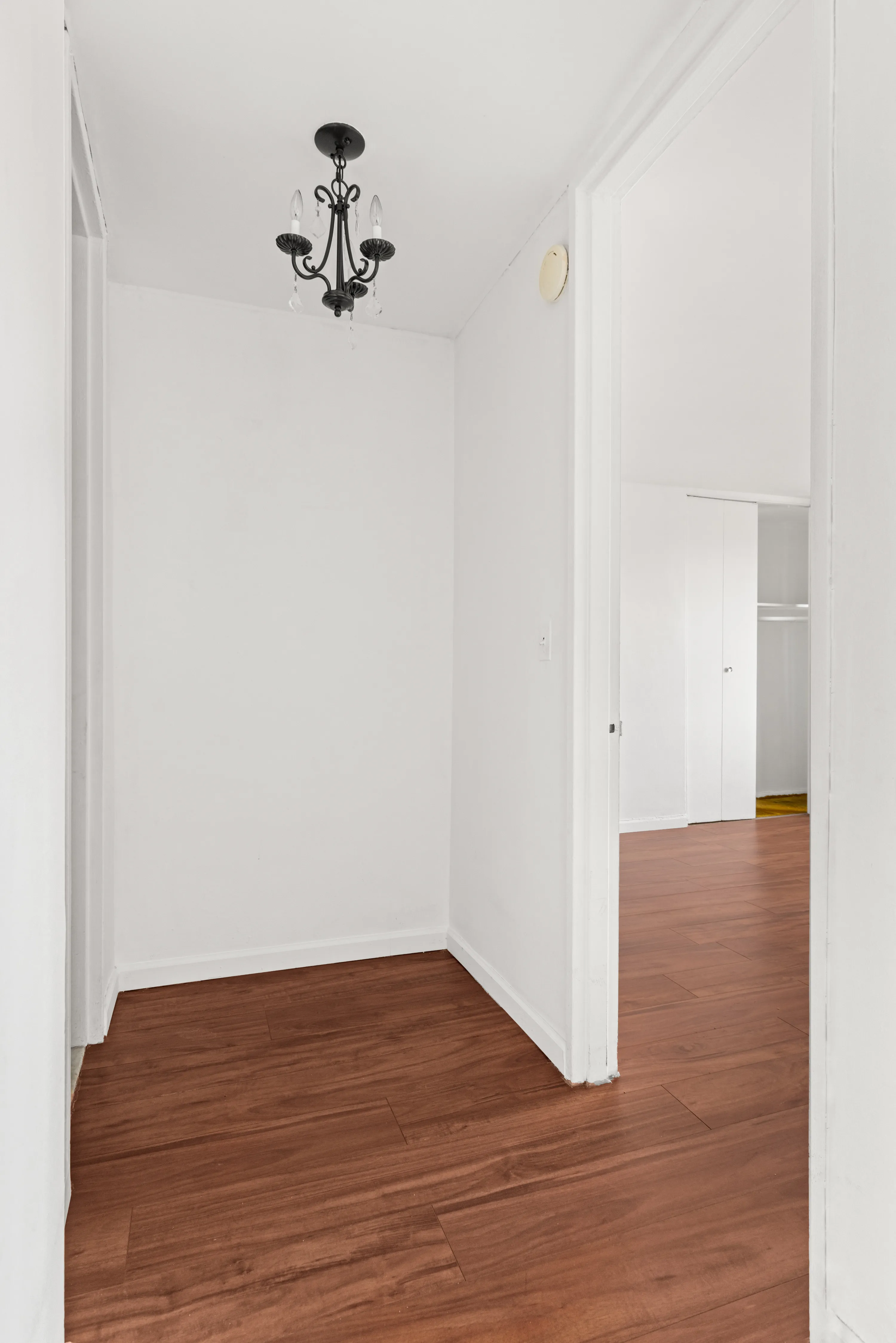 185 Hall Street #1710 in Clinton Hill, Brooklyn | StreetEasy