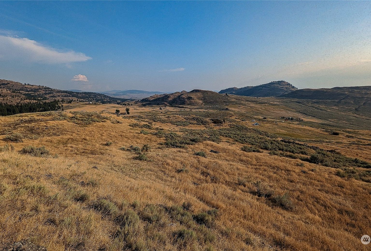 174 Round Up Road, Oroville, WA 98844 | MLS #2164292 | Zillow