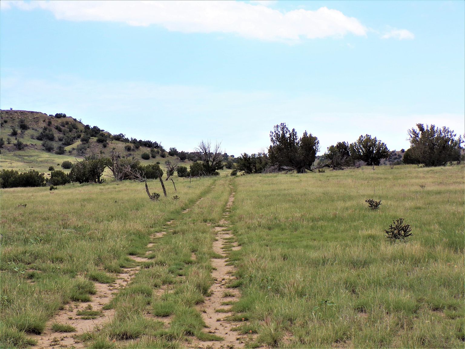 Las Animas Ranch Co Rd #93.9, Model, CO 81059 | Zillow