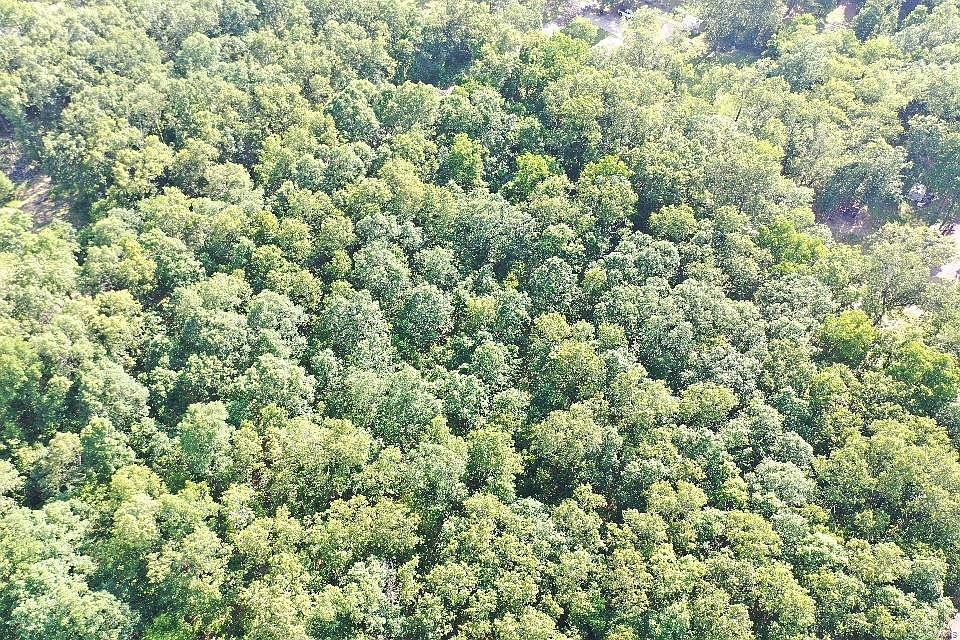 1 County Road 4253, Salem, MO 65560 | Zillow