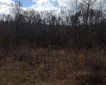 0 Charlie Reeves Rd, Roberta, GA 31078 | Zillow