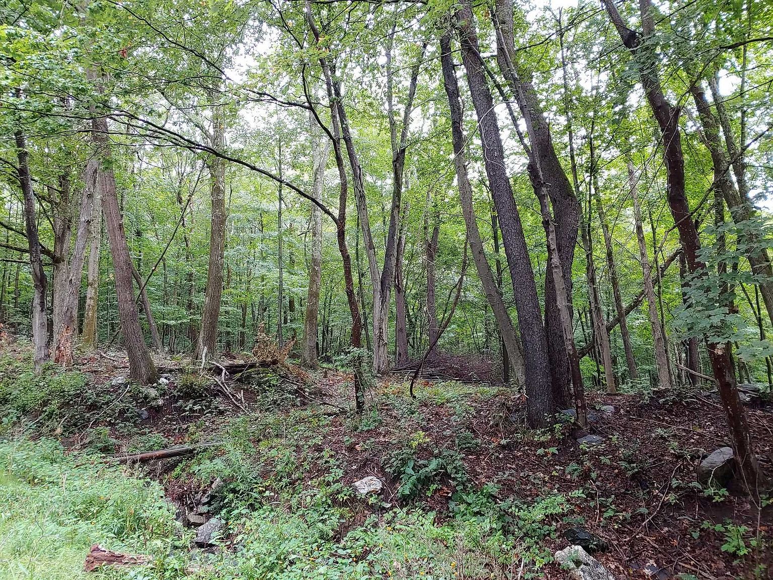 Hammond Hill Rd, Dover Plains, NY 12522 | Zillow