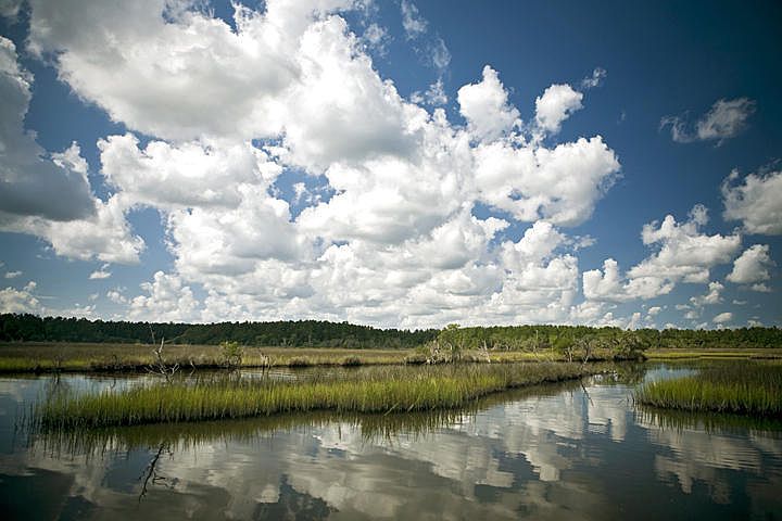 3989 Bulow Landing Rd, Ravenel, SC 29470 | MLS #22007216 | Zillow