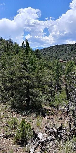 8260 Copper Gulch Rd, Cotopaxi, CO 81223 | Zillow