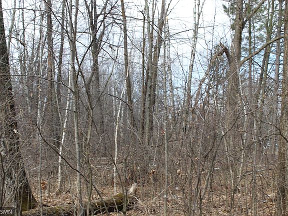 39743 Van Gordon Rd, Hinckley, MN 55037 | MLS #6719297 | Zillow