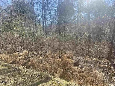 132 Bill Thomas Rd Moncure NC | Zillow