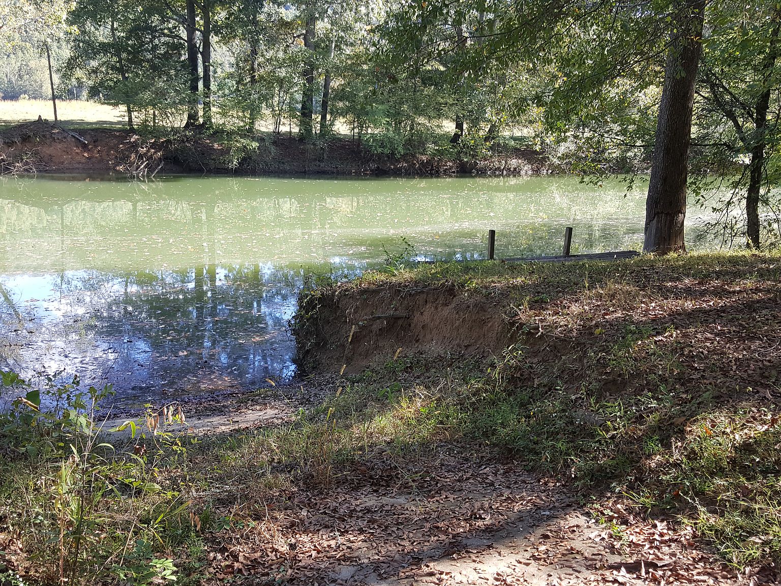 1111 Scott Branch Rd, New Hope, AL 35760 | Zillow