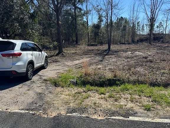 Chewning Rd, Pinewood, SC 29125 | MLS #24004189 | Zillow