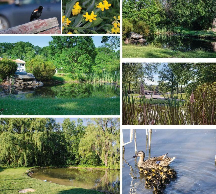 Oakbrook Manor Apartments - 2508 Route 9w Ravena NY | Zillow