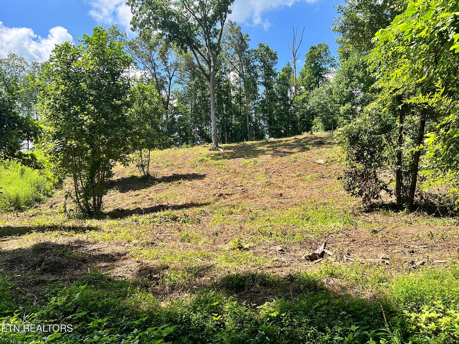 1 Arwine Rd, Decatur, TN 37322 | MLS #1285655 | Zillow