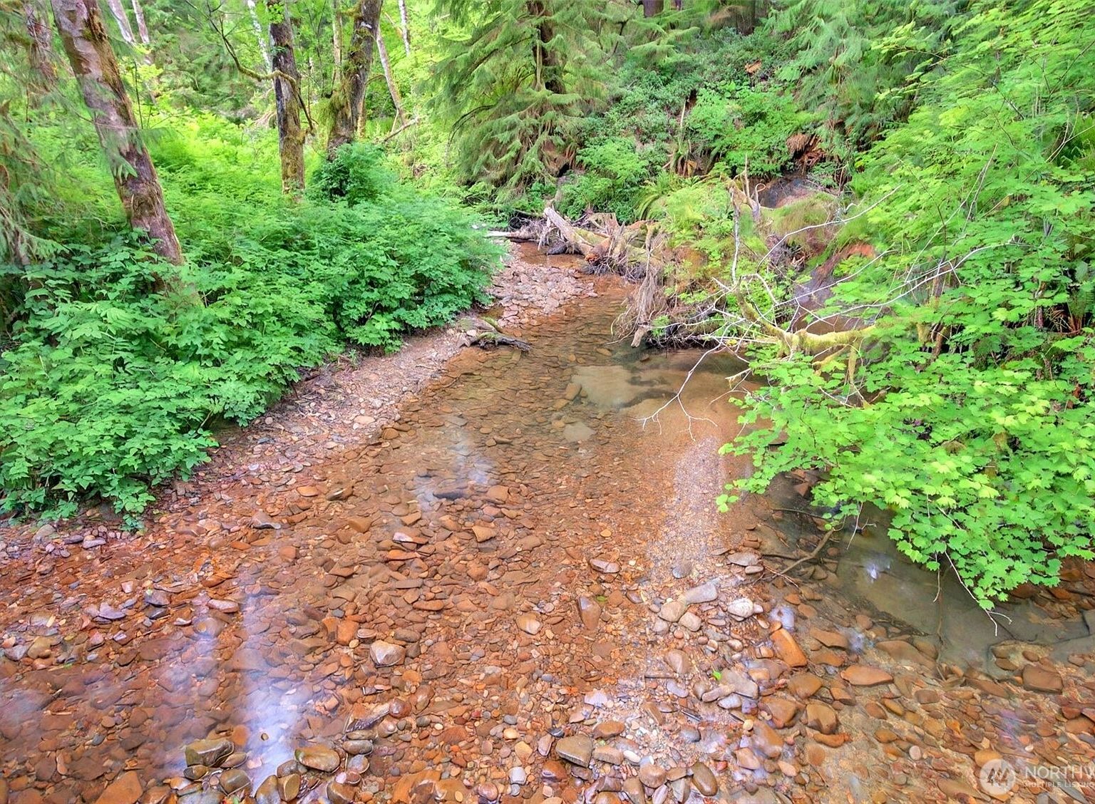 3 Parpala Road #3, Naselle, WA 98638 | Zillow