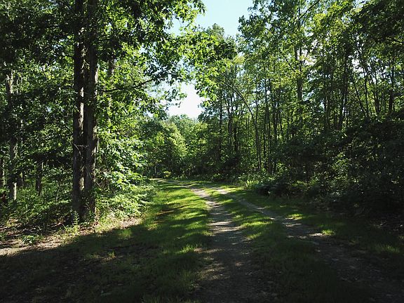 358 Musselman Rd, Clarence, PA 16829 | MLS #11319411 | Zillow