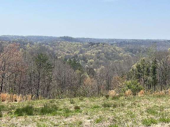 Bigley Ridge Rd, Long Bottom, OH 45743 | MLS #2433396 | Zillow