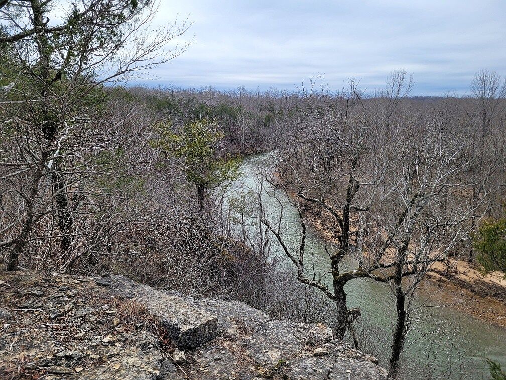 Treeline Ln, Salem, AR 72576 | Zillow