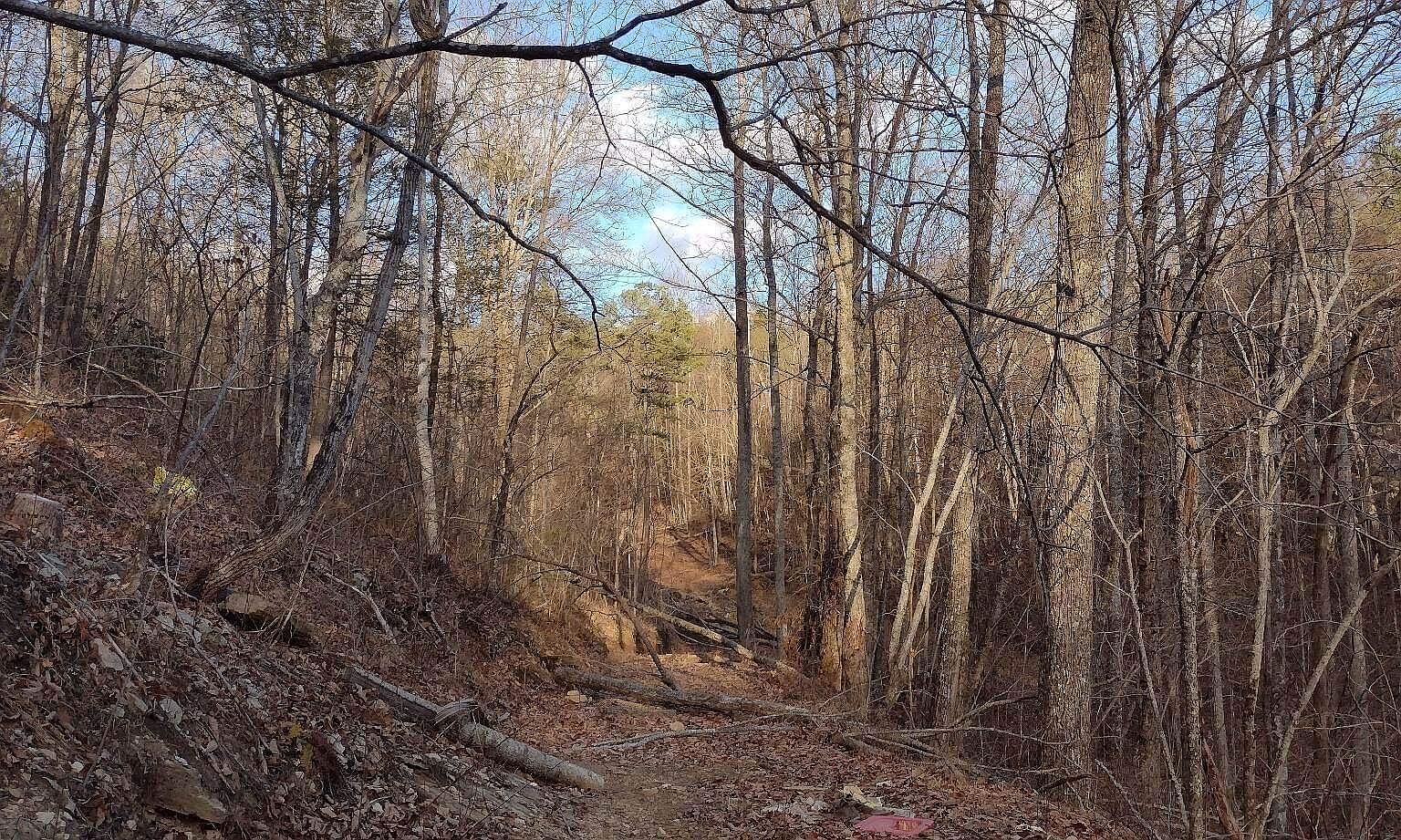 50 Highway Hwy #1595, Frakes, KY 40940 | MLS #1250590 | Zillow