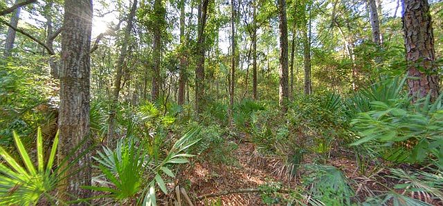 339 Pikes Bluff Dr, Saint Simons Island, GA 31522 | Zillow