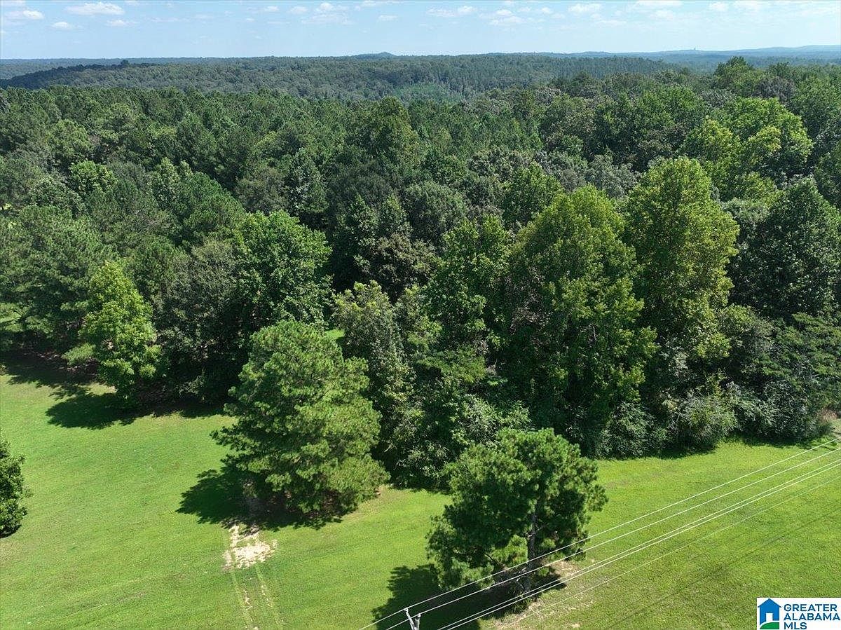 8980 County Road 222 #0, Logan, AL 35098 | MLS #21364569 | Zillow