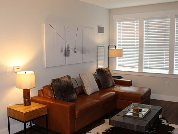 20 The Seneca, Snowshoe, WV 26209 | Zillow