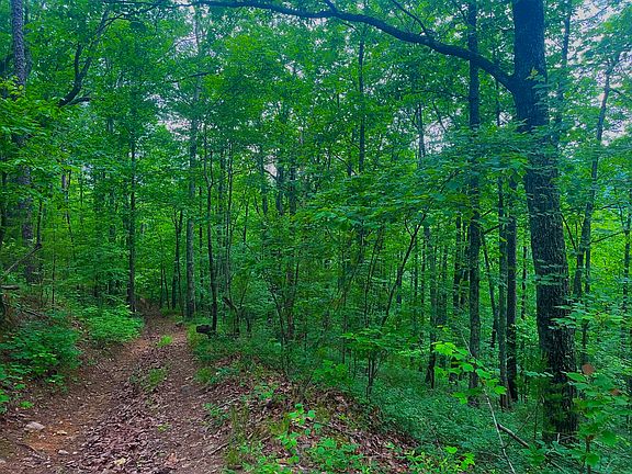 1820 Signal Valley Trl, Chelsea, AL 35043 | Zillow