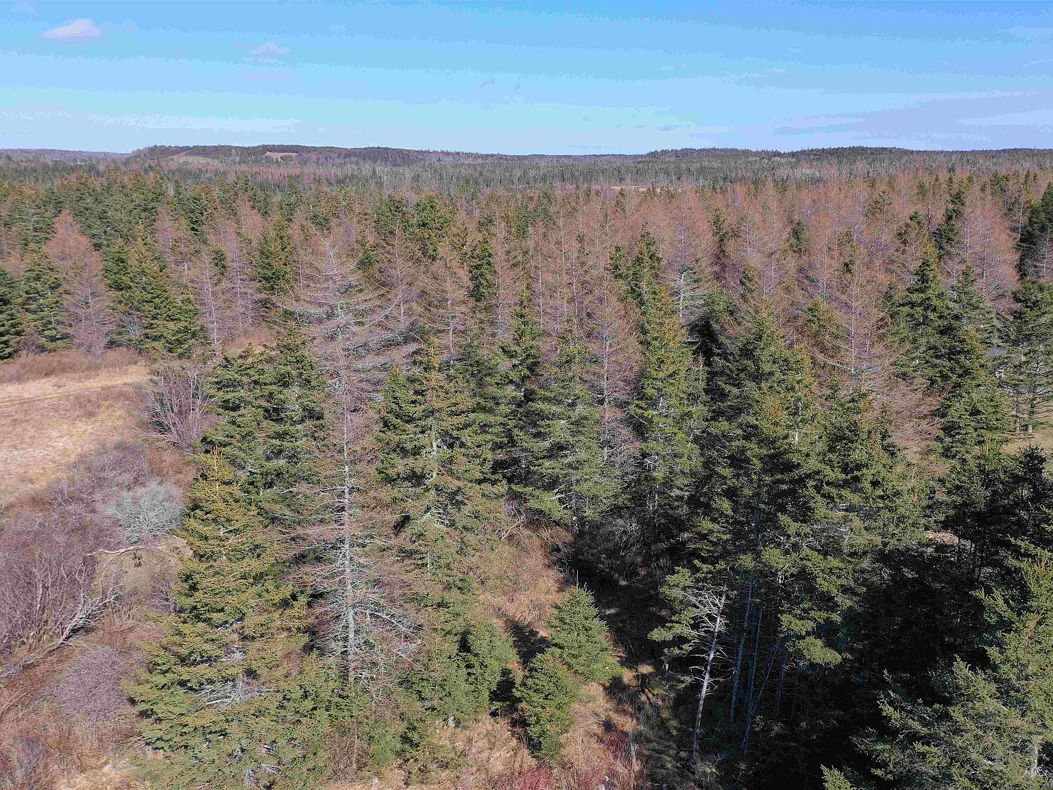 Highway 206, Martinique, NS B0E 1K0 | Zillow
