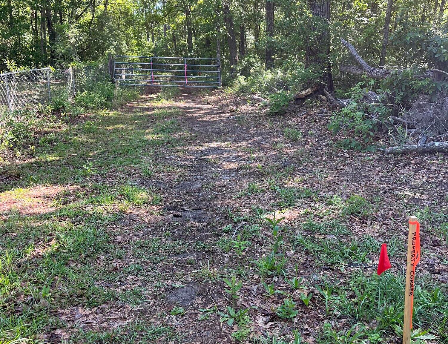 5364 Old Military Rd, Adams Run, SC 29426 | Zillow