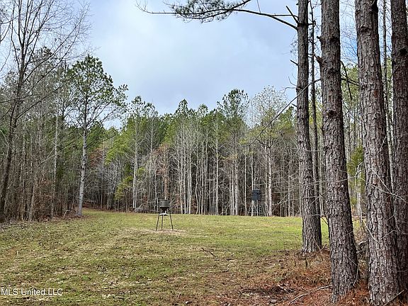 County Road 169, Maben, MS 39750 | MLS #4069761 | Zillow