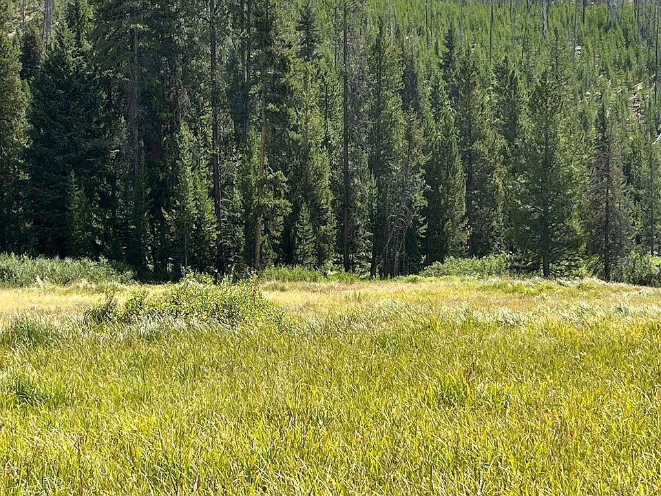 265 Secesh River Rd, Pollock, ID 83547 | MLS #98886779 | Zillow