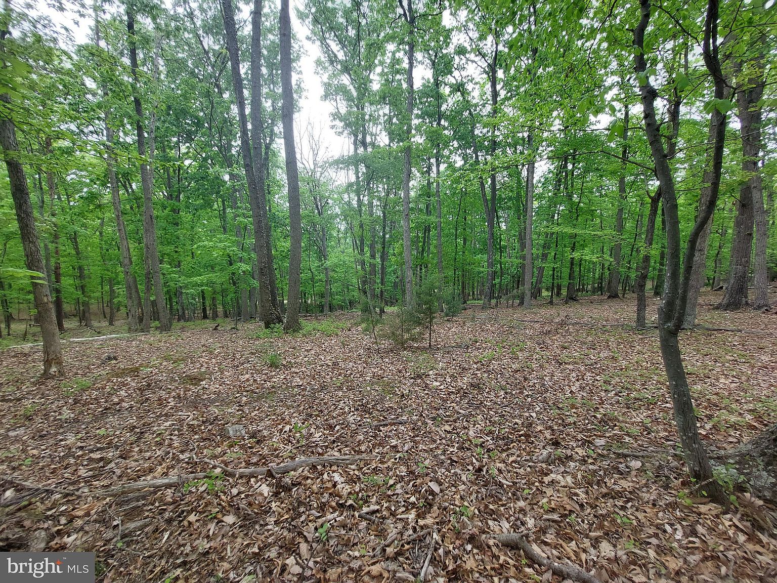 27 Janes Way, High View, WV 26808 | Zillow