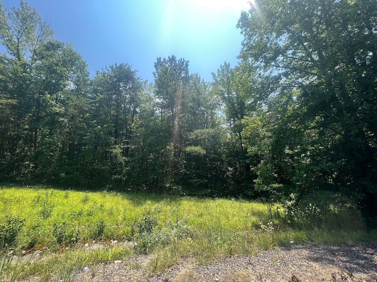 State Highway 195, Haleyville, AL 35565 | Zillow